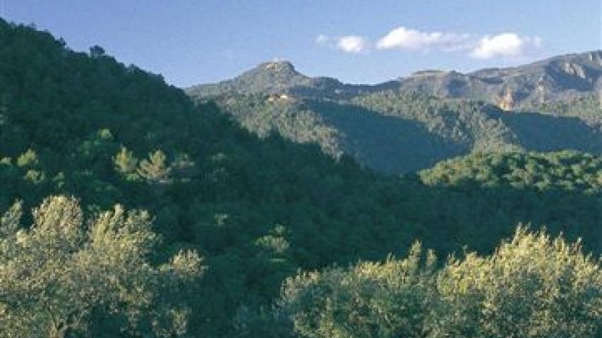 Senderismo en la Garriga | Visita La Garriga